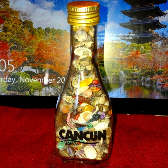 Vintage | Accents | Strange And Unusualseashells From Cancun Mexico ...